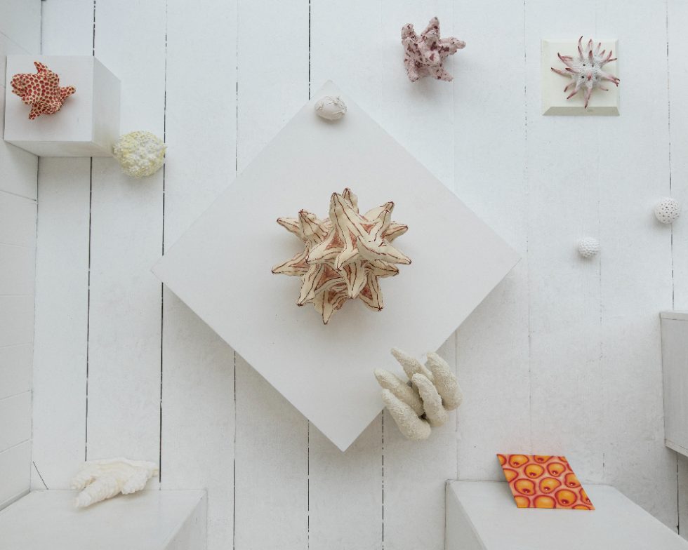 Meet the Maker - Alicia French - Style of Wight Magazine